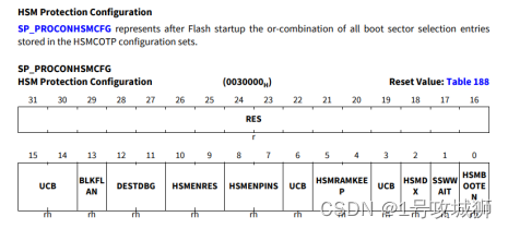 英飞凌HSM模块介绍-CSDN博客