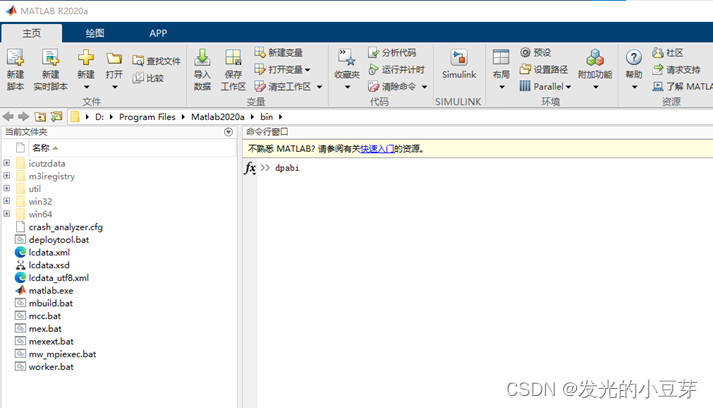 基于DemoData的DPABI首次运行及SPM安装_dpabi 安装-CSDN博客