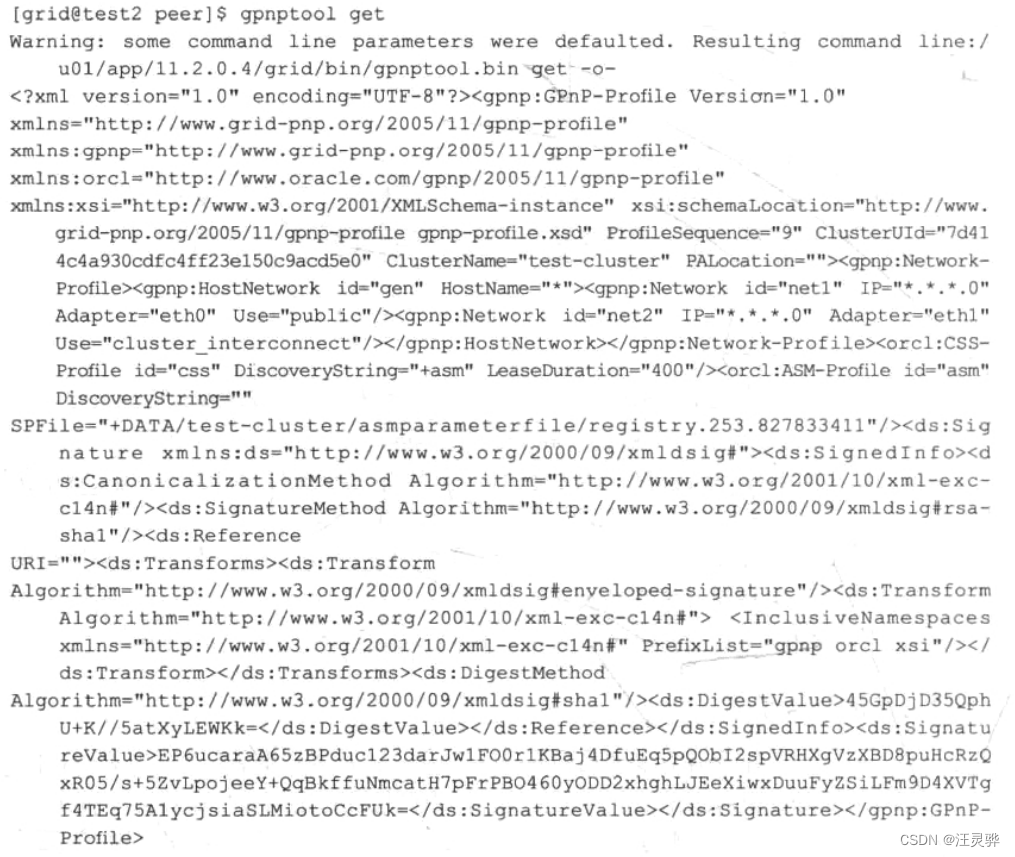 oracle gpnp介绍_gpnp profile-CSDN博客