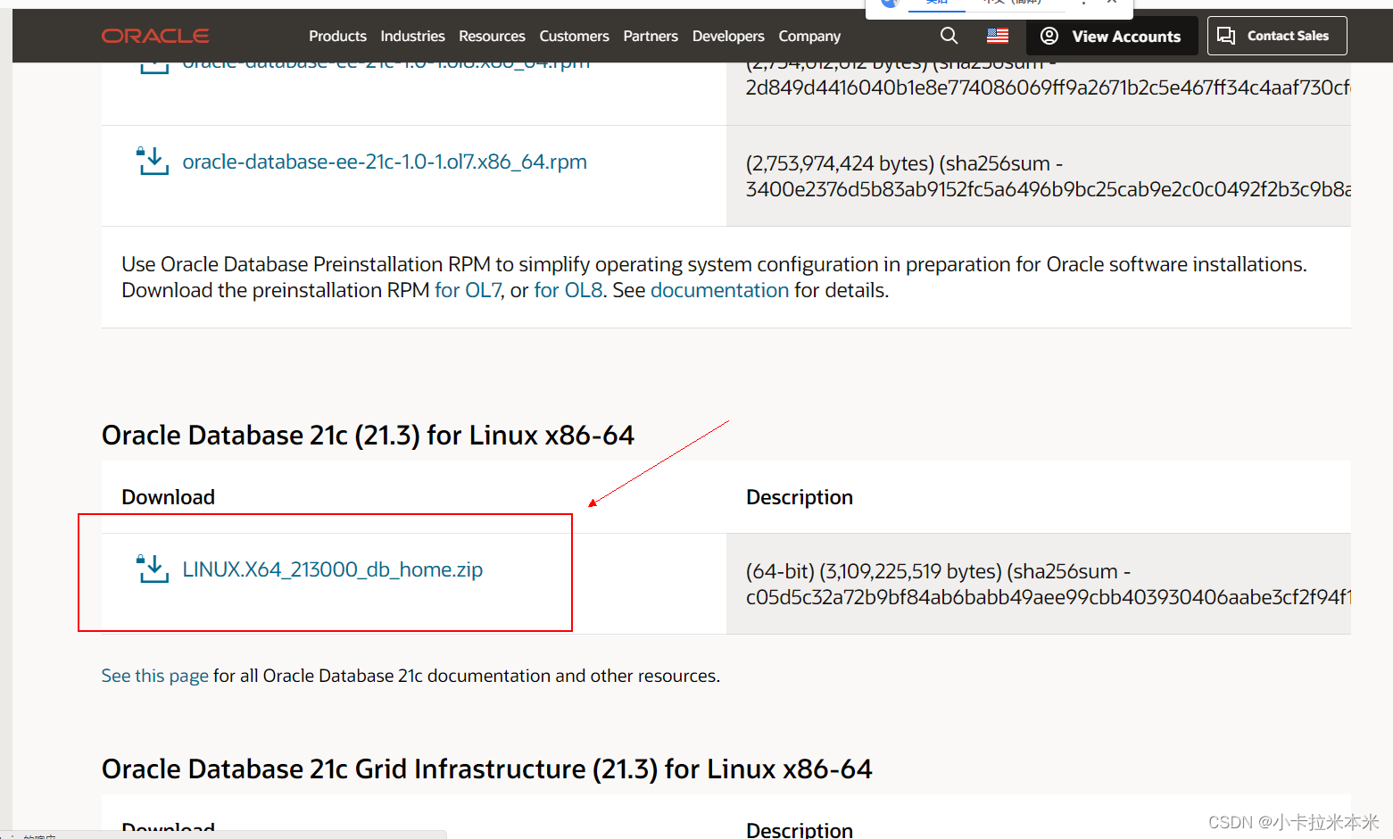 Linux 安装oracle 21c_oracle21c数据库linux下载安装-CSDN博客