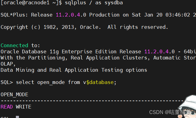 八、oracle11g rac集群搭建-dbca创建数据库-CSDN博客