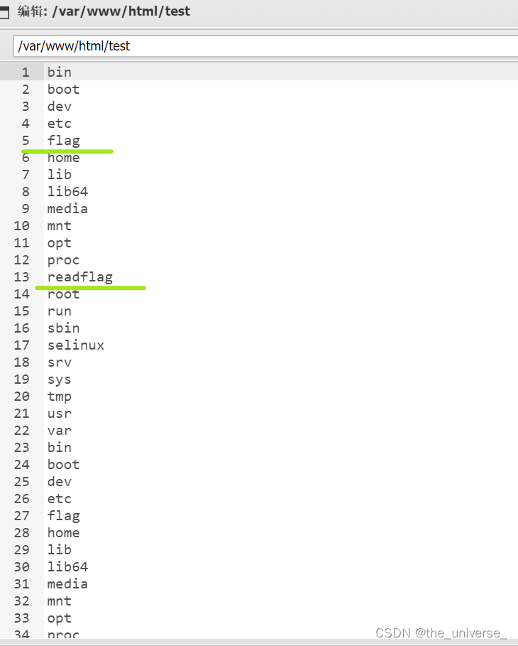 CTFHub ShellShock wp(详解)-CSDN博客