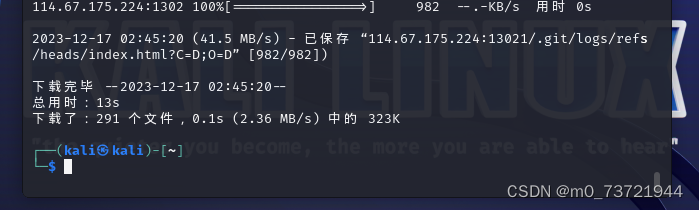 bugku source_我哥说渗透我只用linux环境-CSDN博客
