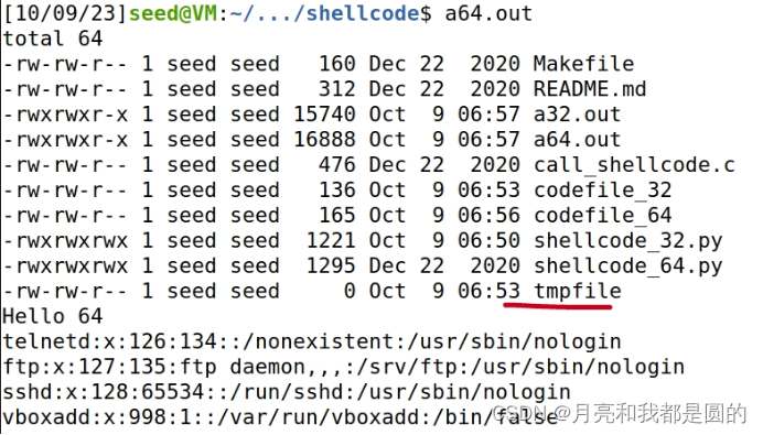 网络攻防-缓冲区溢出攻击实验_网络安全缓冲区溢出实验-CSDN博客