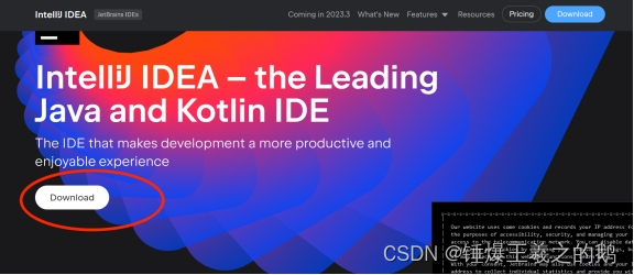 JDK11+IDEA安装+第一个简单java程序测试-CSDN博客