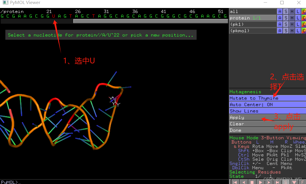 如何使用Pymol把RNAcomposer合成的三级RNA结构转变为DNA结构_pymol如何更改碱基形状-CSDN博客
