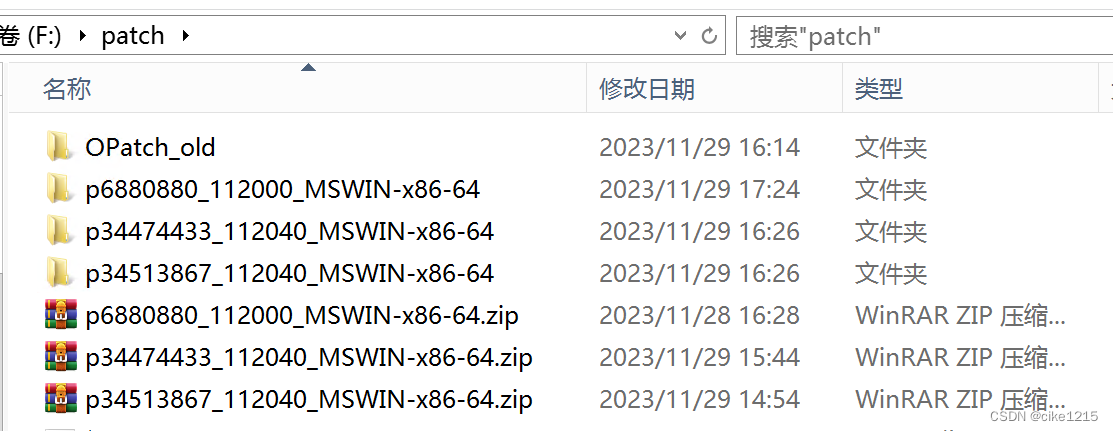 windows上oracle11g安装补丁（patches）_如何下载oracle11补丁包-CSDN博客
