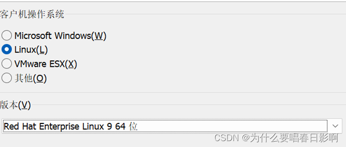 Redhat Enterprise Linux 9 新手安装和配置教程_linux9-CSDN博客