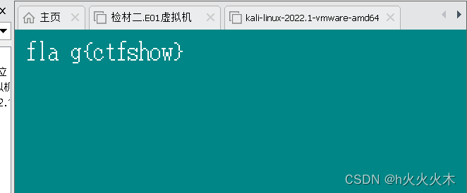misc 软盘中的flag（ctfshow misc2）-CSDN博客