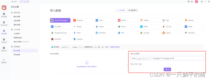 apifox接口配置完整版（swagger篇）_apifox 导入swagger-CSDN博客