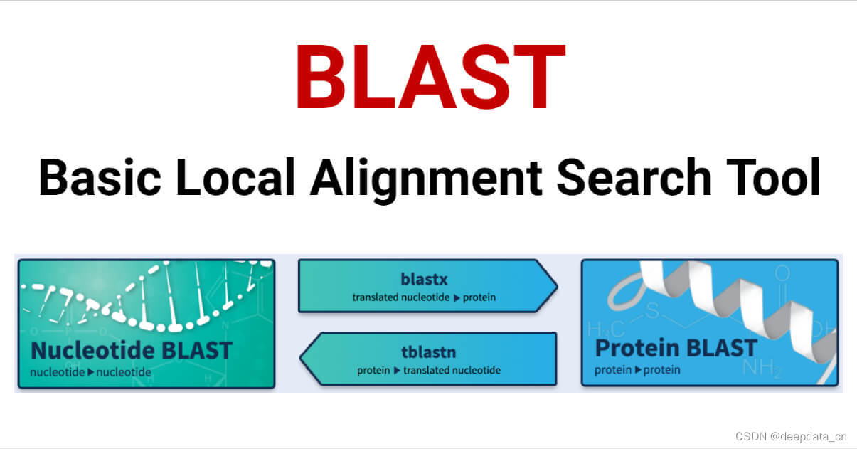 BLAST算法（Basic Local Alignment Search Tool）-CSDN博客