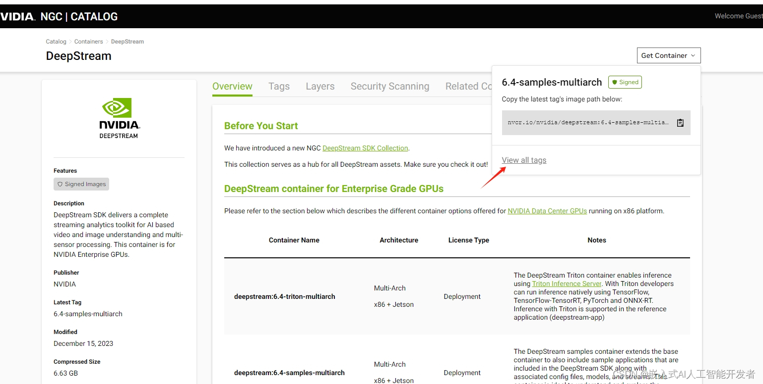 triton环境部署_nvidia triton docker容器-CSDN博客