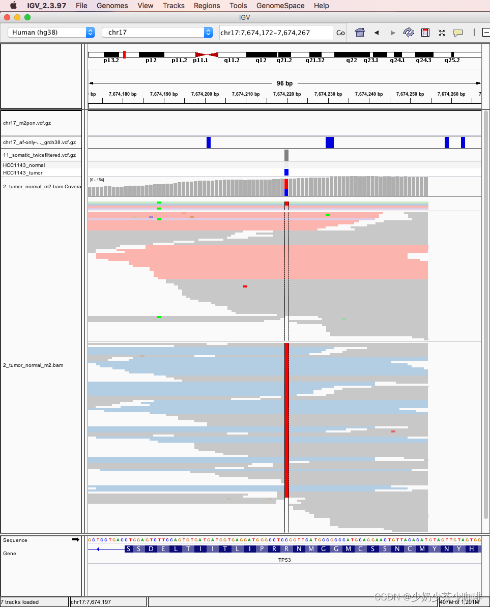 GATK4 somatic mutations analysis_pon of vcf是啥-CSDN博客