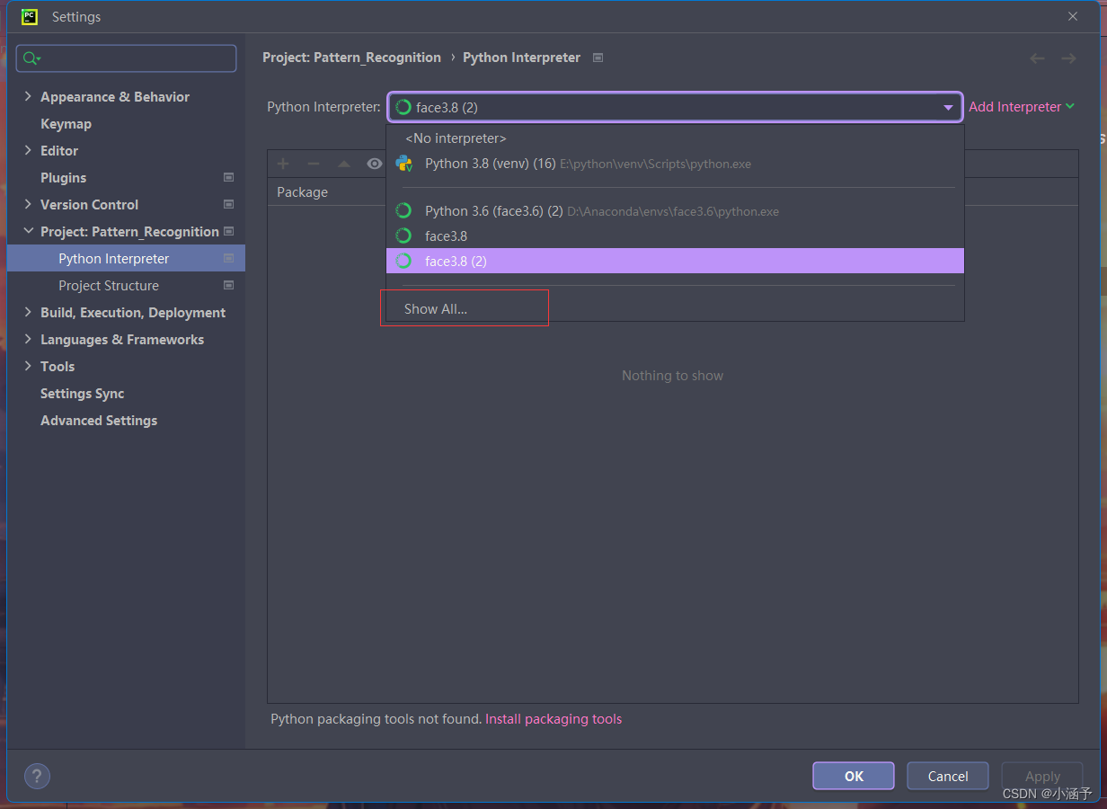 关于pycharm2022版本配置conda虚拟环境出现的No Python interpreter selected的问题_pycharm2022配置 conda-CSDN博客