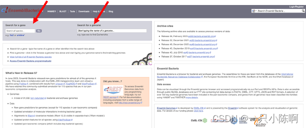 基因组文件及gtf文件的下载及从GTF中提取注释信息-CSDN博客