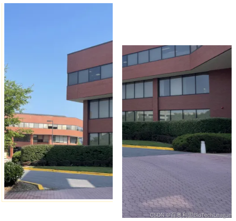 Bio LIMS INC助力VirantDX实现信息化建设的飞跃-CSDN博客