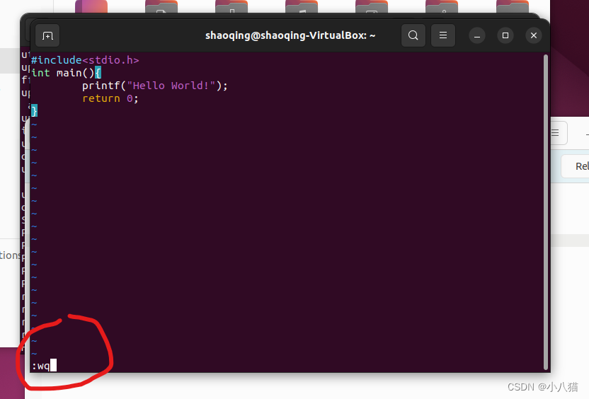 搭建Linux虚拟机开发环境并利用GCC编译器及vim文本编辑运行“Hello world”_虚拟机打开编译器-CSDN博客