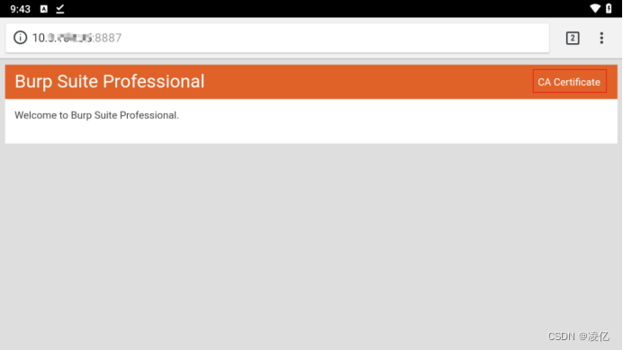 Burp Suite抓包逍遥模拟器与安装证书_逍遥模拟器安装证书-CSDN博客