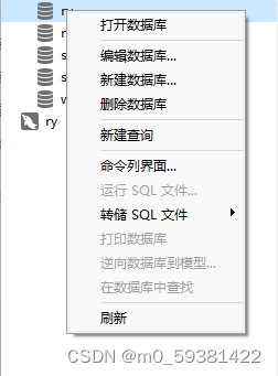 若依框架搭建-vscode（保姆级）_ruoyi搭建-CSDN博客