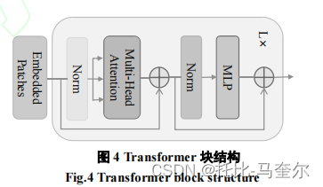 多层级深度特征融合的乳腺癌图像分类_deit-b模型-CSDN博客