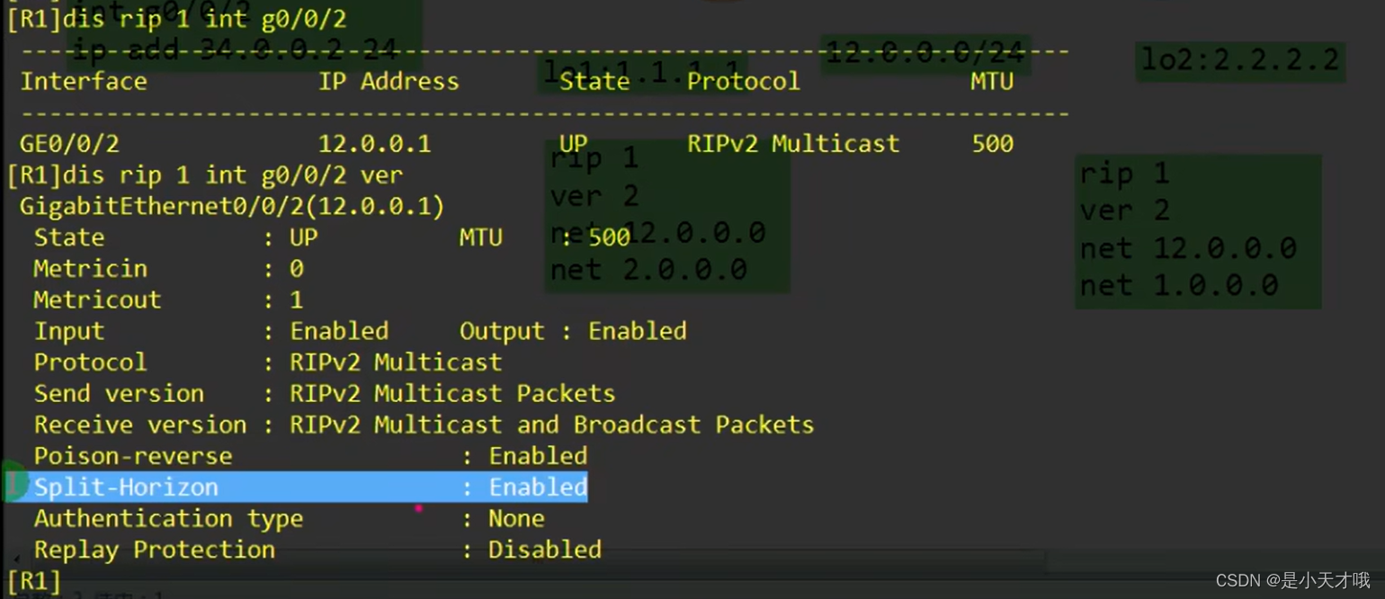 HCIA-RIP基础配置-CSDN博客