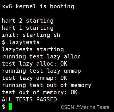 MIT 6.S081---Lab: xv6 lazy page allocation-CSDN博客