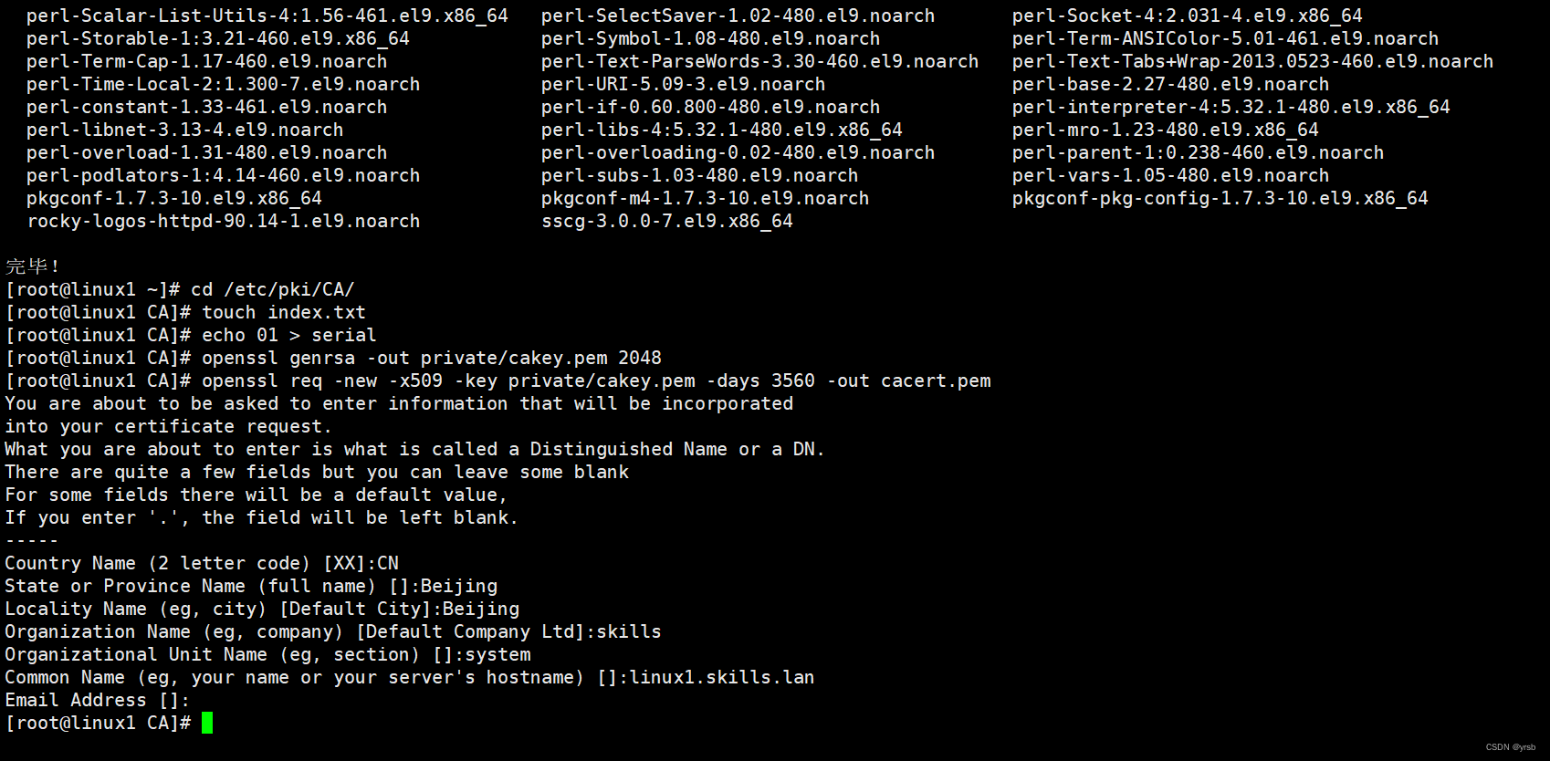 22年国赛正式题（服务）_cp -a named.localhost named.skills cp -a named.loo-CSDN博客
