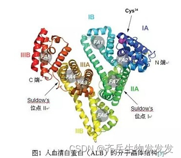 Human Serum Albumin-Cy7 Conjugate，人血清白蛋白Cy7标记物，CY7-HSA-CSDN博客