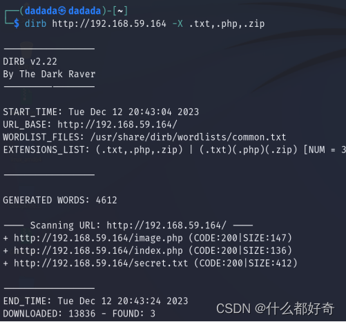 prime1(超超详细)_使用dirb命令对prime 网址进行网页扫描-CSDN博客