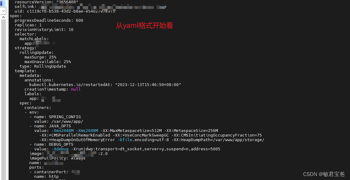 Kubectl 常用命令 Csdn博客 