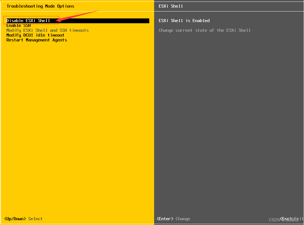 ESXI 主机启用 Shell 连接_esxi shell-CSDN博客