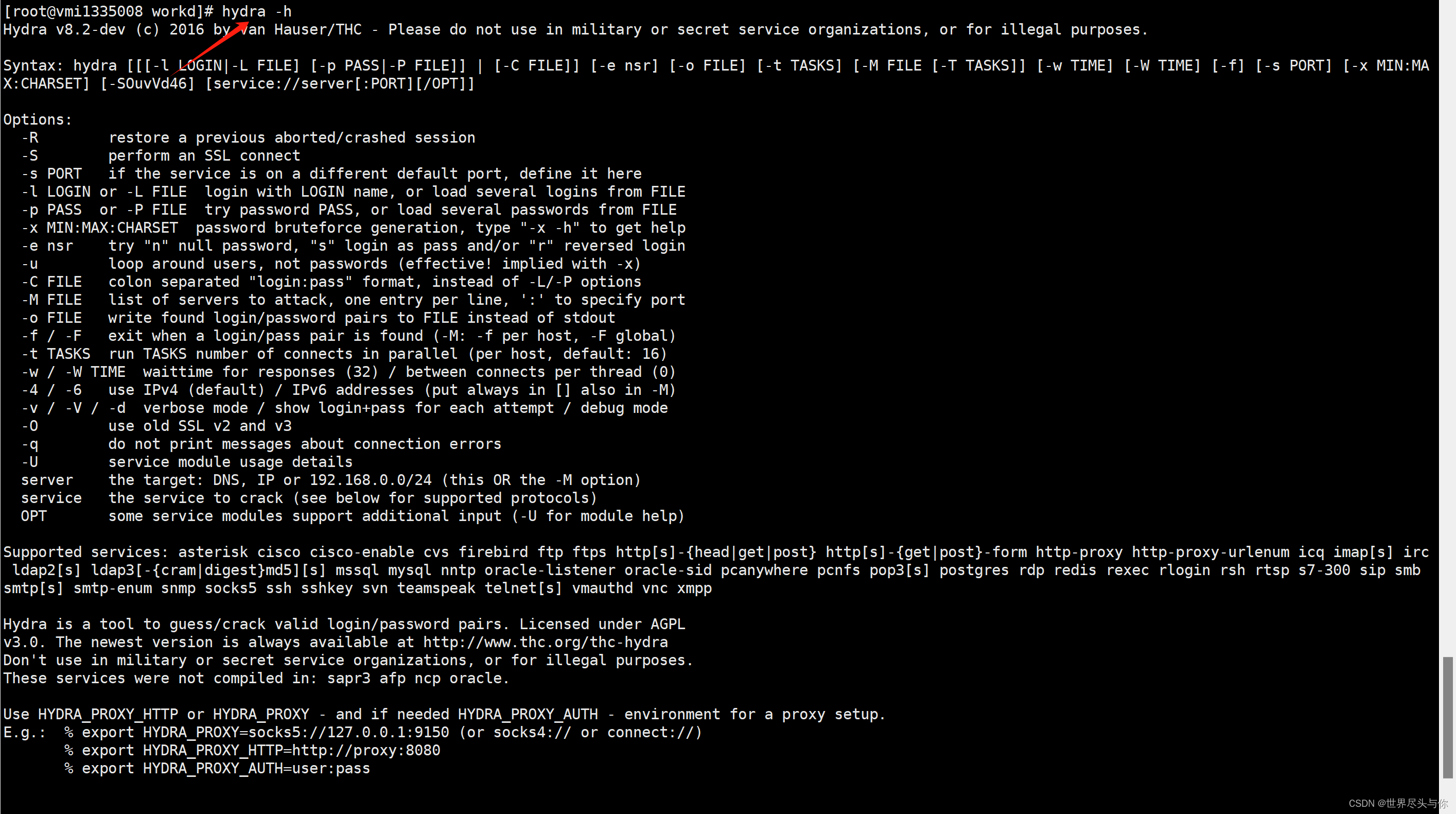 Hydra使用教程_hydra使用教程 csdn-CSDN博客