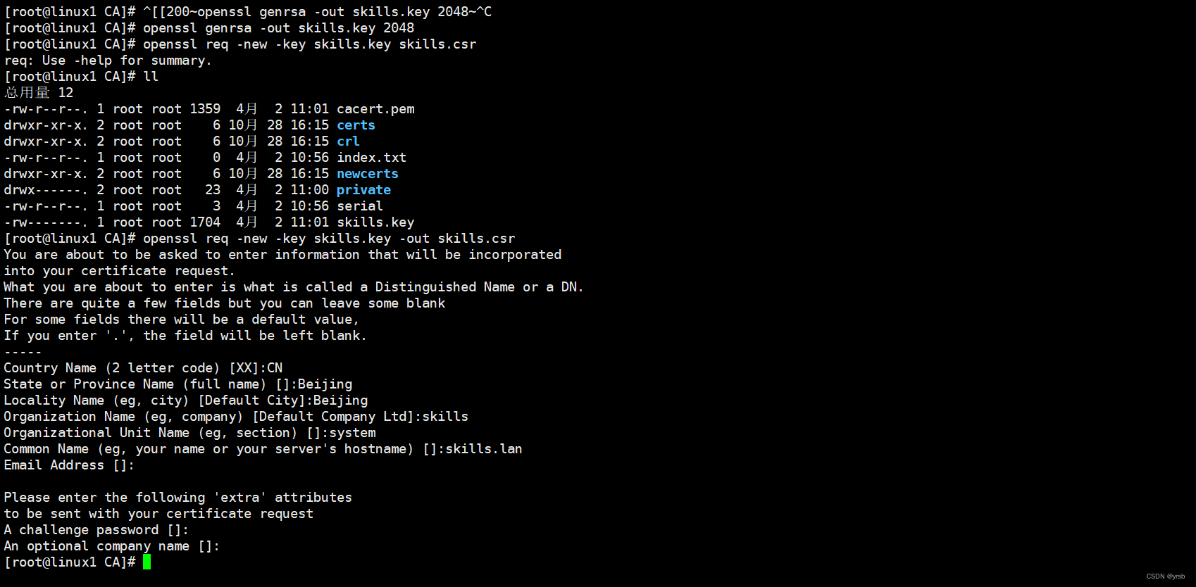 22年国赛正式题（服务）_cp -a named.localhost named.skills cp -a named.loo-CSDN博客