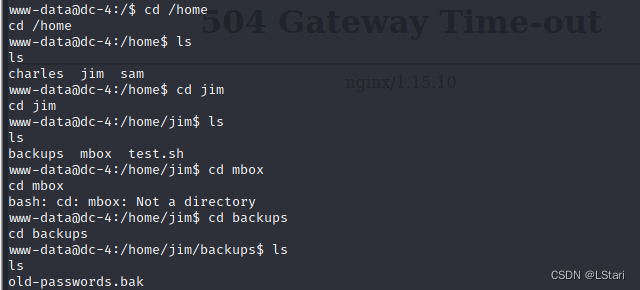 DC系列-dc4靶机解析_dc-4 log in 怎么登录-CSDN博客