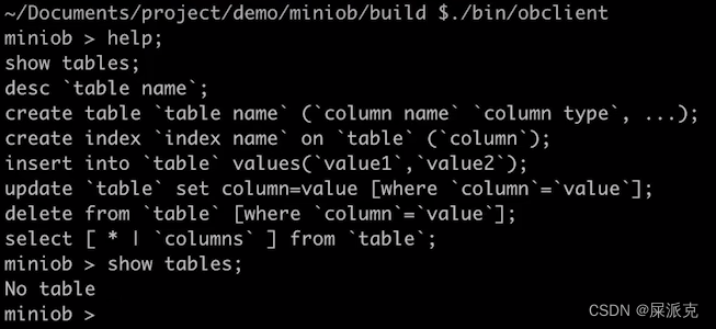 【详细版】ubuntu下的miniob环境编译与调试_miniob ubuntu-CSDN博客