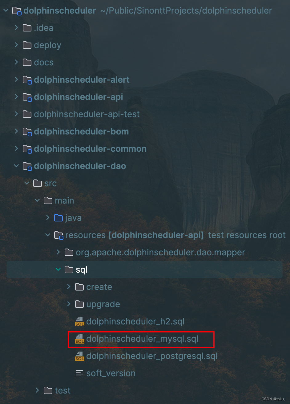 DolphinScheduler分布式调度系统二开 - 编译、打包、部署_dolphinscheduler 二次开发-CSDN博客