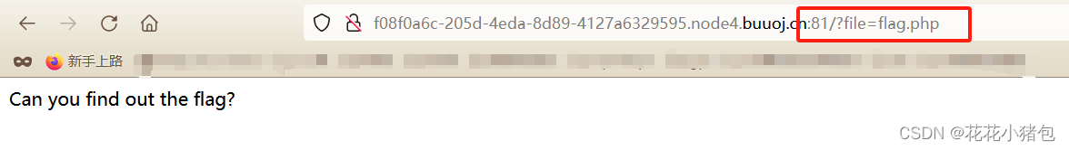BUUCTF web题目之 Include_buuctf include-CSDN博客