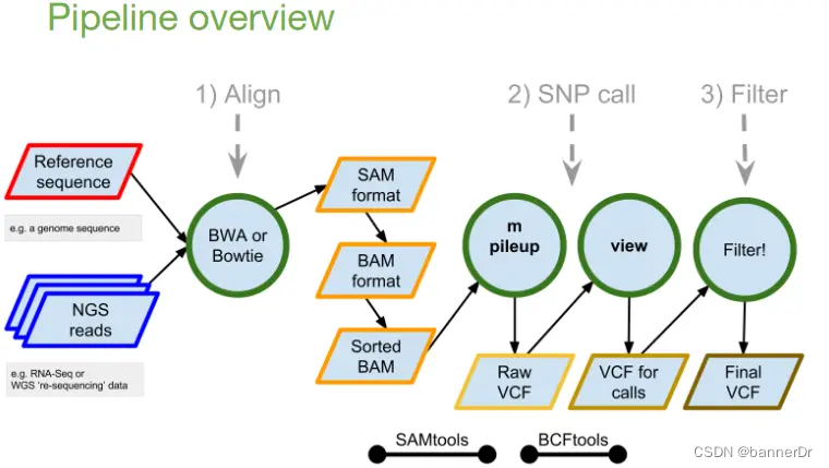snp calling software & methods_基因组学的snp calling-CSDN博客