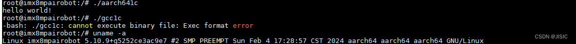 bash: ./xxx: 无法执行二进制文件: 可执行文件格式错误或者-bash: ./gcc1c: cannot execute binary file: Exec format error ...