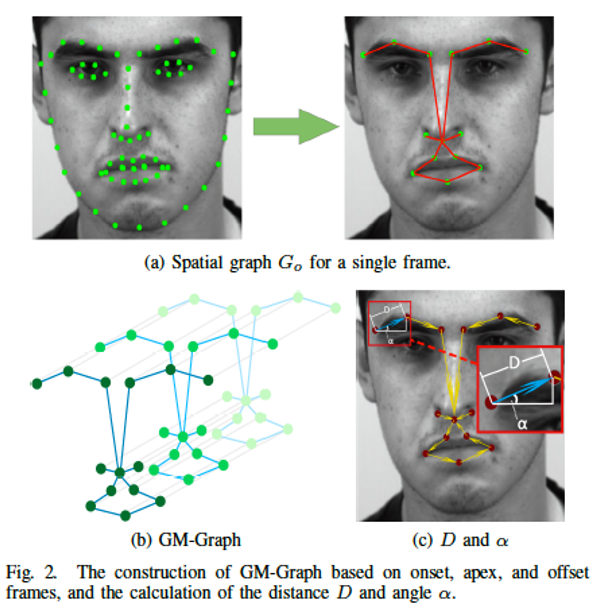Geometric Graph Representation with Learnable Graph Structure and Adaptive AU Constraint for MER ...