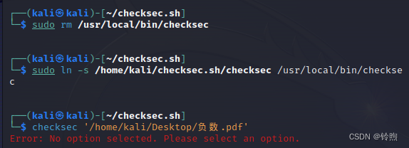 Checksec:too Many Levels Of Symbolic Links Csdn博客 6167