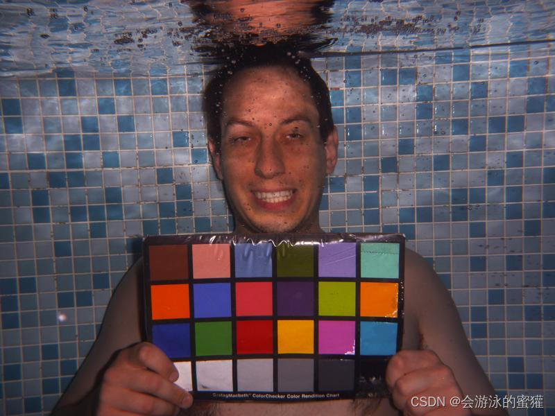 Color-Check7 Dataset-CSDN博客