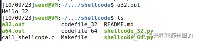 网络攻防-缓冲区溢出攻击实验_网络安全缓冲区溢出实验-CSDN博客