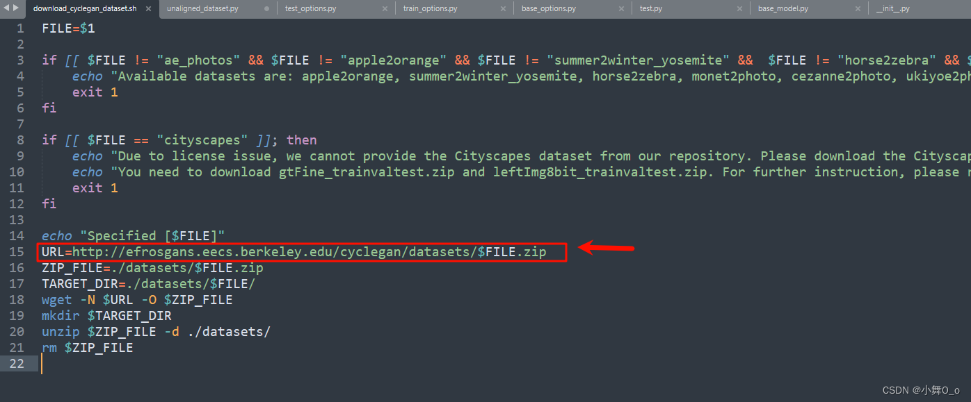 CycleGAN训练教程_cyclegan训练过程-CSDN博客