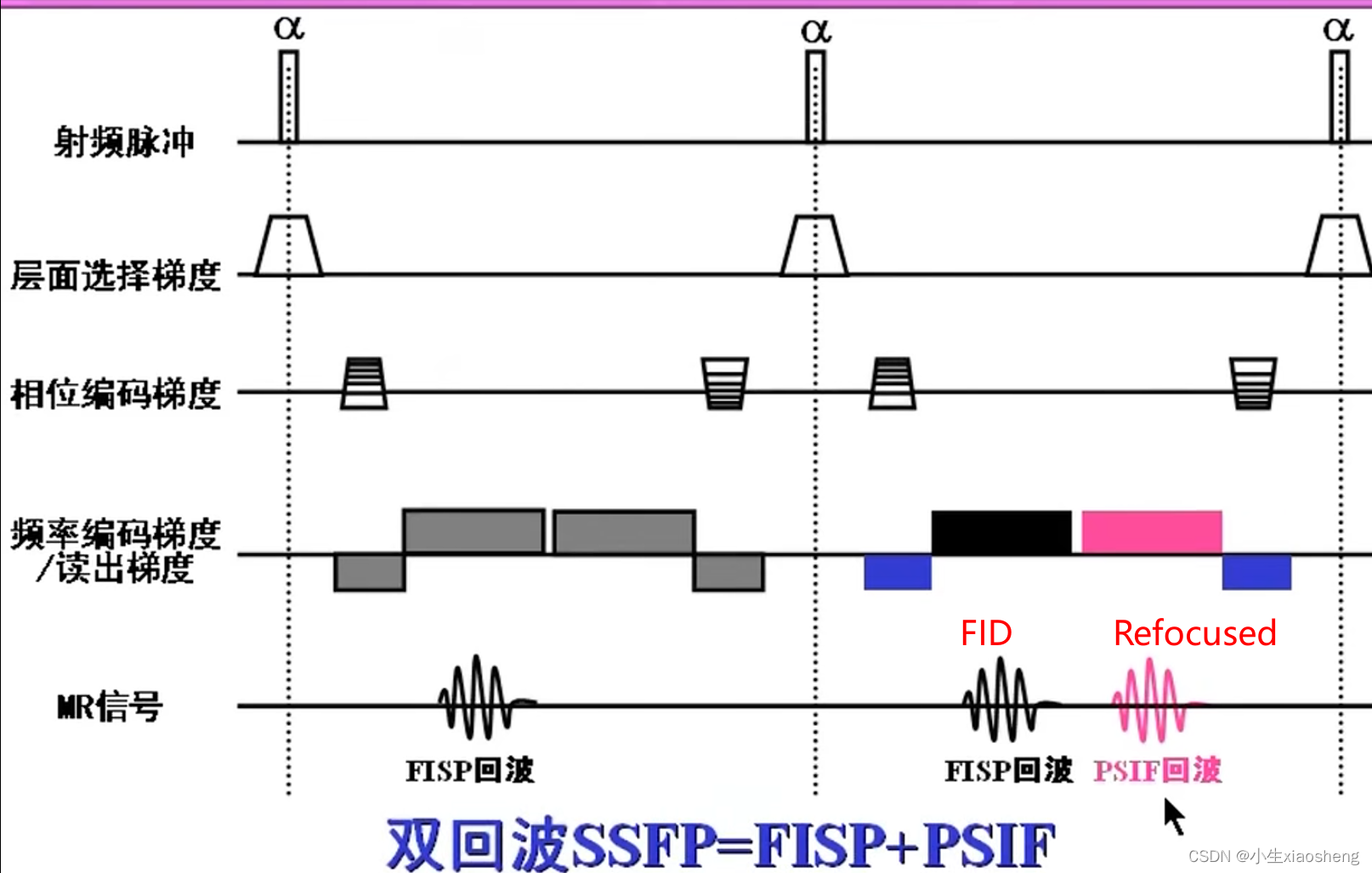 （2）医疗图像处理：MRI磁共振成像-磁共振成像脉冲序列--(杨正汉)_核磁共振成像测量过程中 啥时候撤销脉冲-CSDN博客