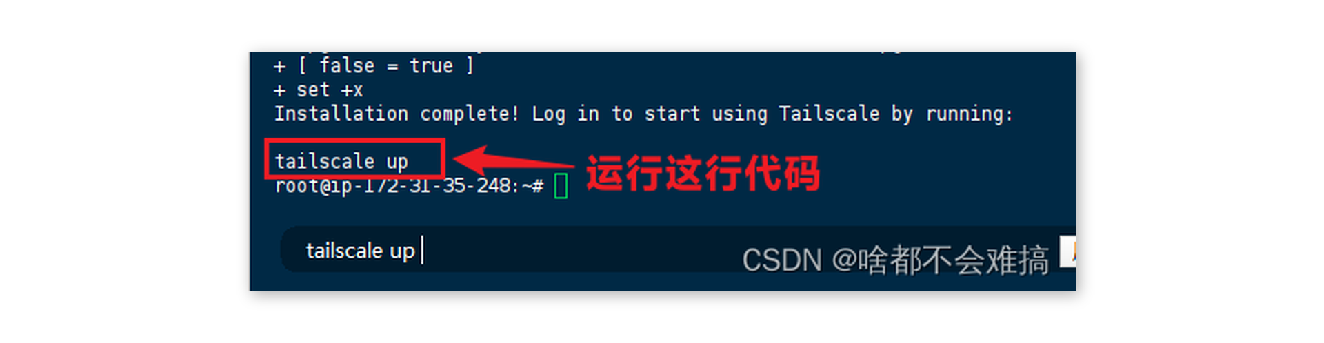 【傻呱呱】Tailscale 搭建derp中继节点（无需域名）_tailscale derp-CSDN博客