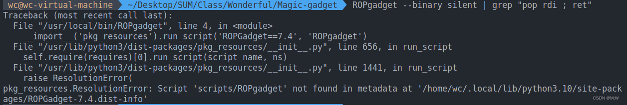 （pwn手必备）Linux美化终端 oh-my-zsh + tmux_tmux 美化-CSDN博客